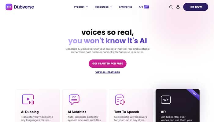 Dubverse Reviews 2025: Details, Features and Alternatives
